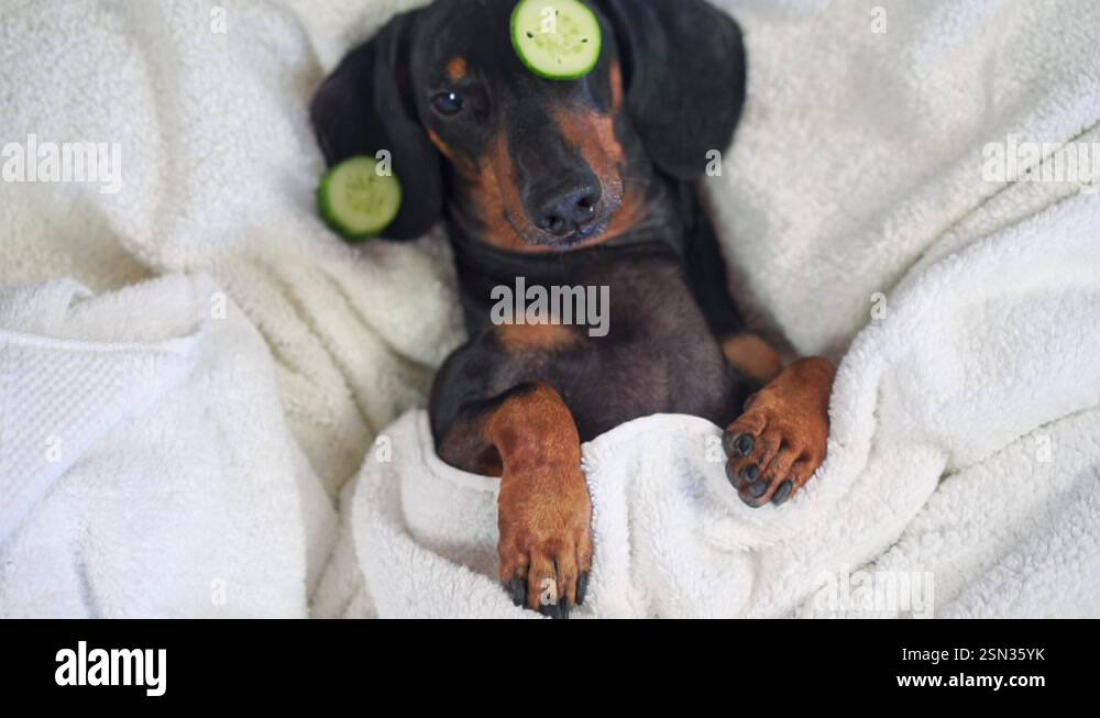 Portrait grooming beauty mask Stock Videos & Footage - HD and 4K Video ...