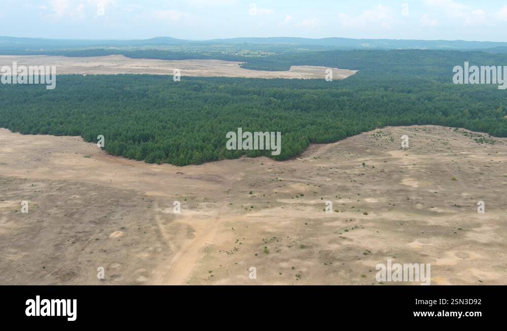 Bledowska Desert aka Polish Sahara aka Pustynia Bledowska. Lesser ...