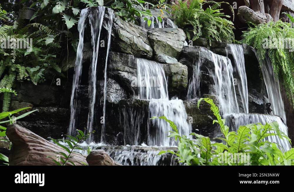 Footage of cascading garden waterfalls surrounded by tropical plants ...
