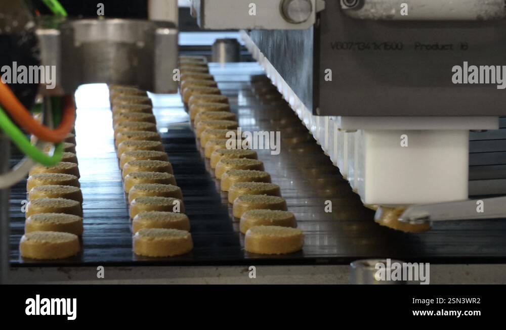 the production of cookies on the conveyor of a confectionery factory ...