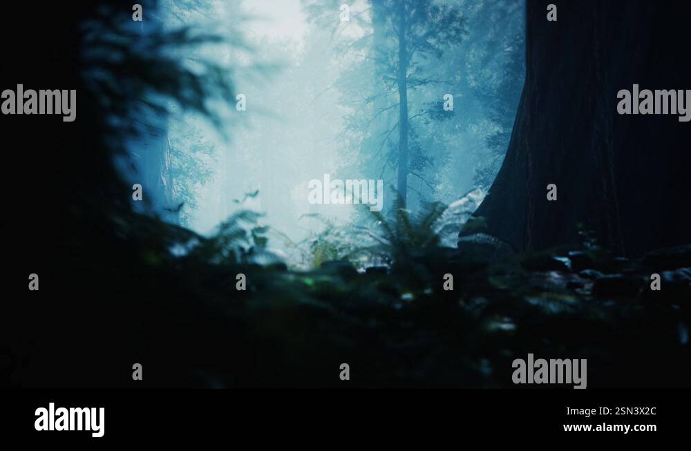 A dark forest at night with a lurking vampire waiting for its next ...