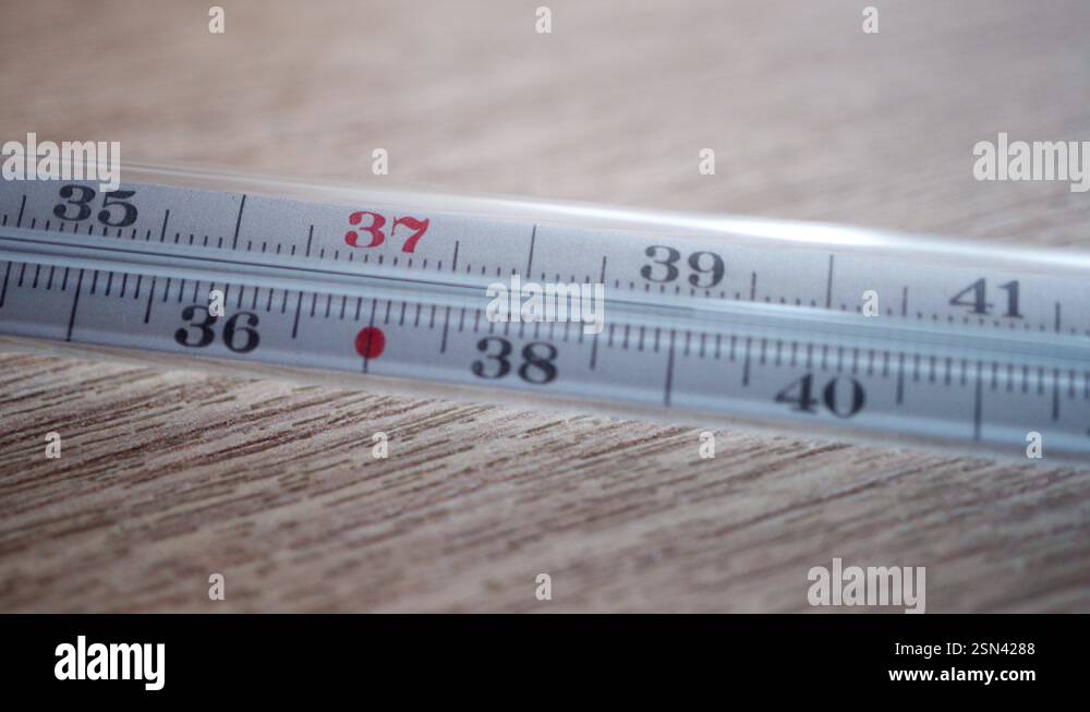 The thermometer shows an elevated human temperature up to 39.1 degrees ...