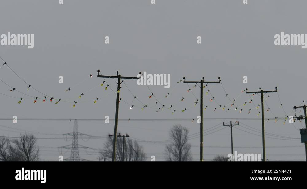 Power line markers on electricity cables at Welney in Norfolk, UK, to ...