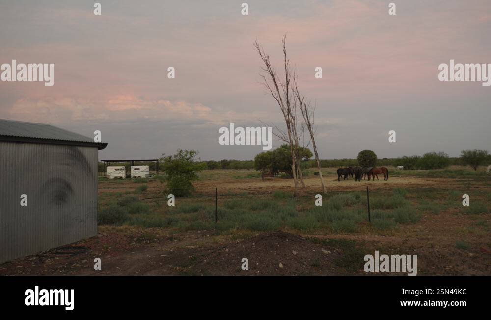 Farm ranch outback australia Stock Videos & Footage - HD and 4K Video ...