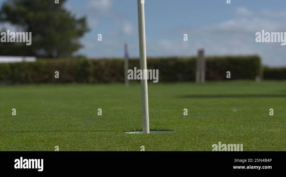 Golf putting green practice shots ball rolls by pin hole close up slow ...