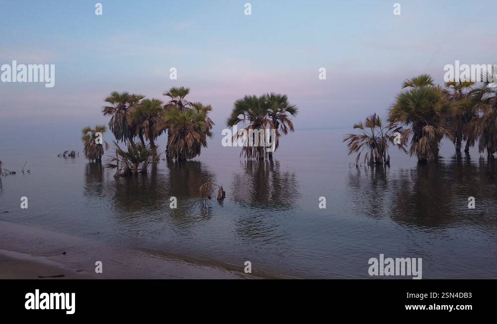 Scenicsunset Stock Videos & Footage - HD and 4K Video Clips - Alamy