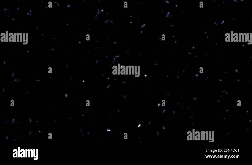 Loop glow white particles flow Stock Videos & Footage - HD and 4K Video ...