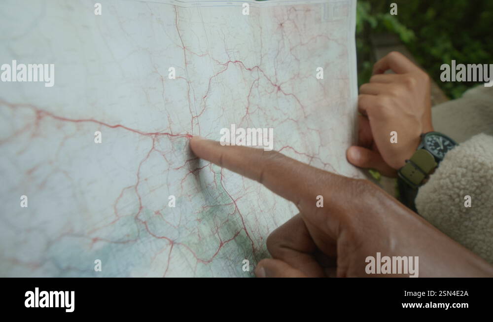 Learning forest Stock Videos & Footage - HD and 4K Video Clips - Alamy