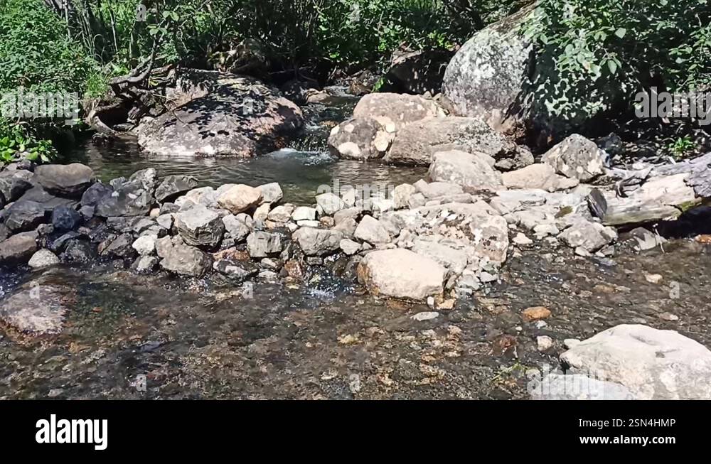 A small backwater fenced with stones in the bed of a beautiful mountain ...
