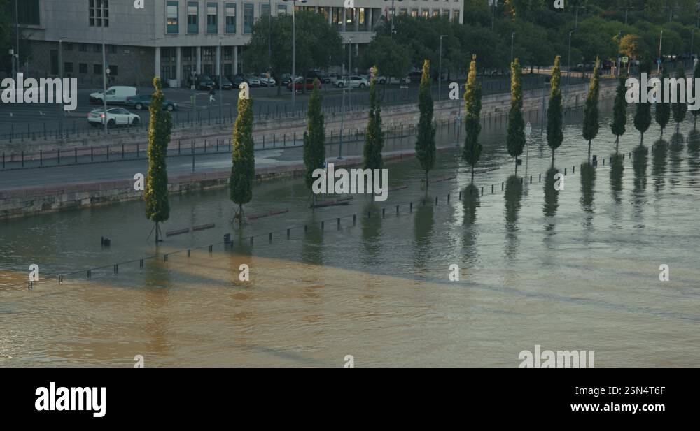 Rows of trees submerged in water beside the Danube during the Budapest ...