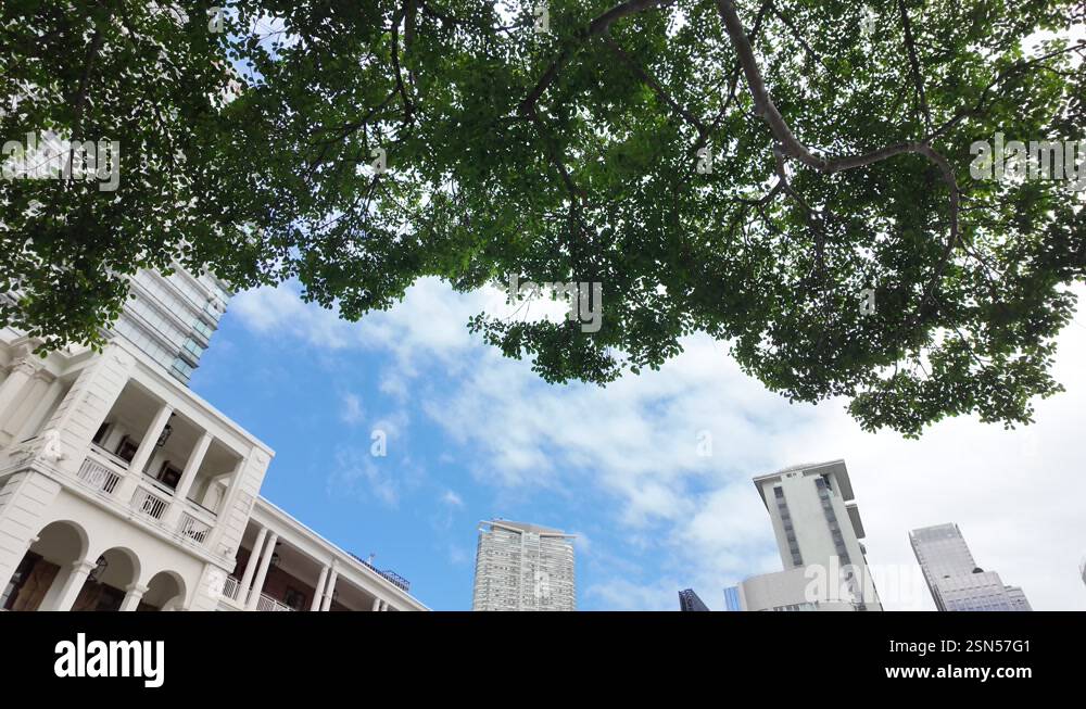 A wide shot of the sky framed by a dense canopy of leaves with glimpses ...