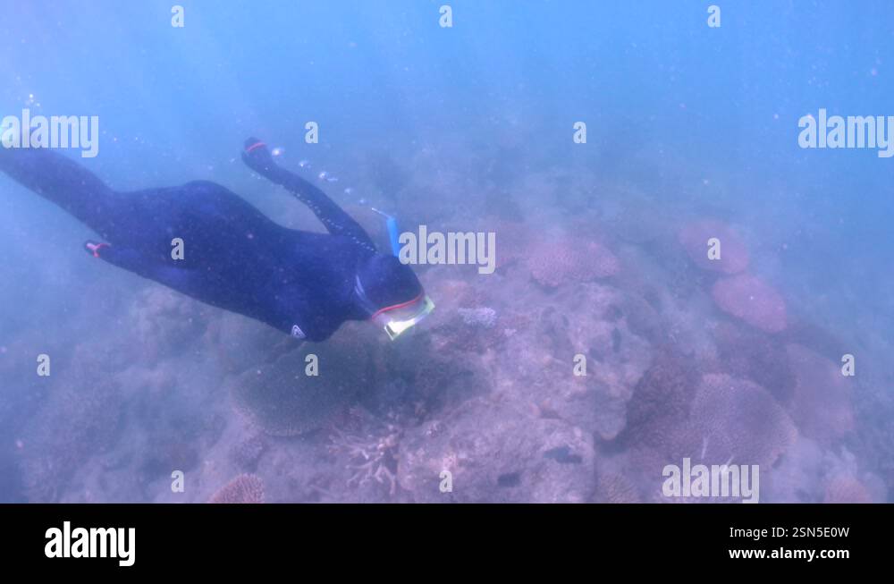 One person skin diving underwater in the Whitsundays Islands Queensland ...