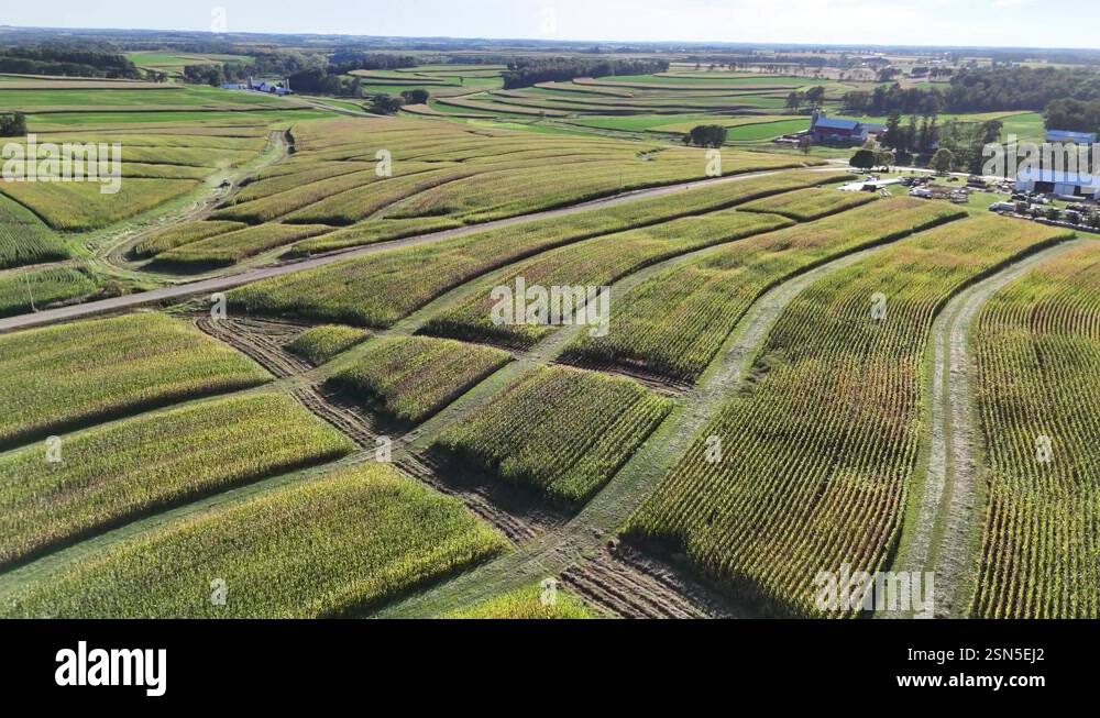 Contour Farming is a practice that involves performing farming across a ...