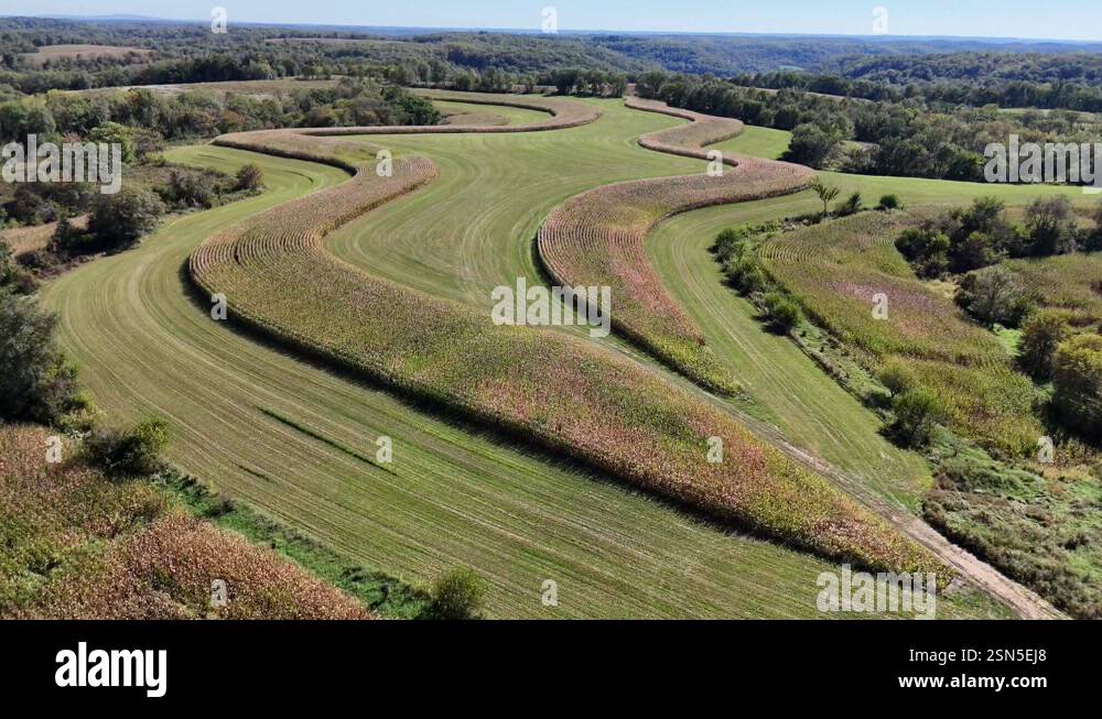 Contour Farming is a practice that involves performing farming across a ...