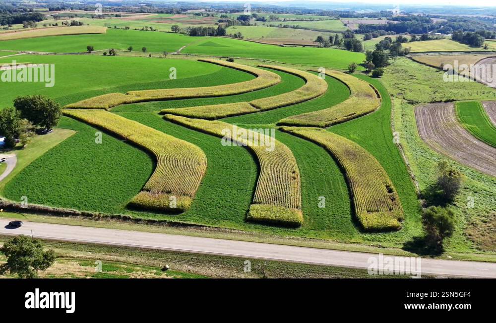 Contour Farming is a practice that involves performing farming across a ...