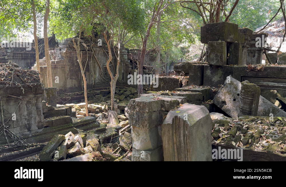 General view of a ruined temple lost in the jungle, with vines and ...