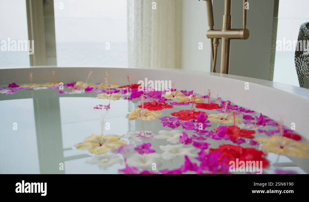Floating petals Stock Videos & Footage - HD and 4K Video Clips - Alamy