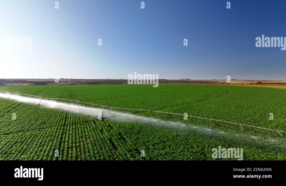 Drone view of corn field being irrigated by center pivot system - Goiás ...