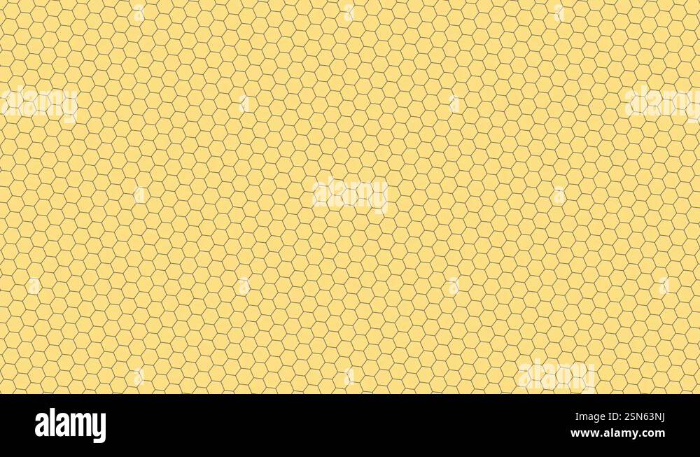 the background consists of yellow bee cells, After Effect Stock Video ...