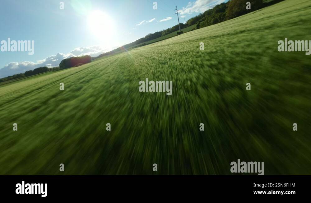 FPV drone accelerates toward close cross view of vibrant green field ...