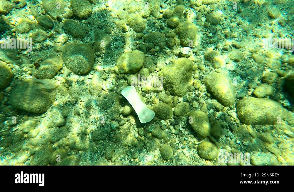 Bottom pad Stock Videos & Footage - HD and 4K Video Clips - Alamy