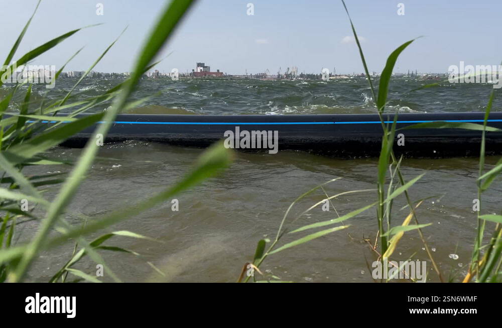 Reeds in foreground sway in strong wind on river blocked by black pipe ...
