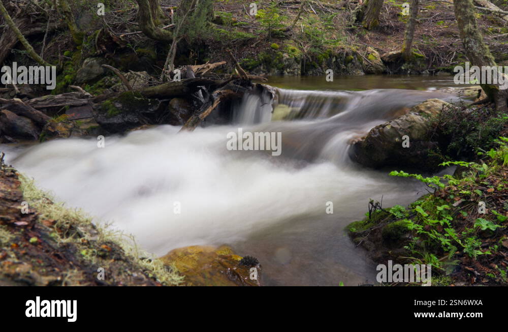 Slow shutter landscape Stock Videos & Footage - HD and 4K Video Clips ...