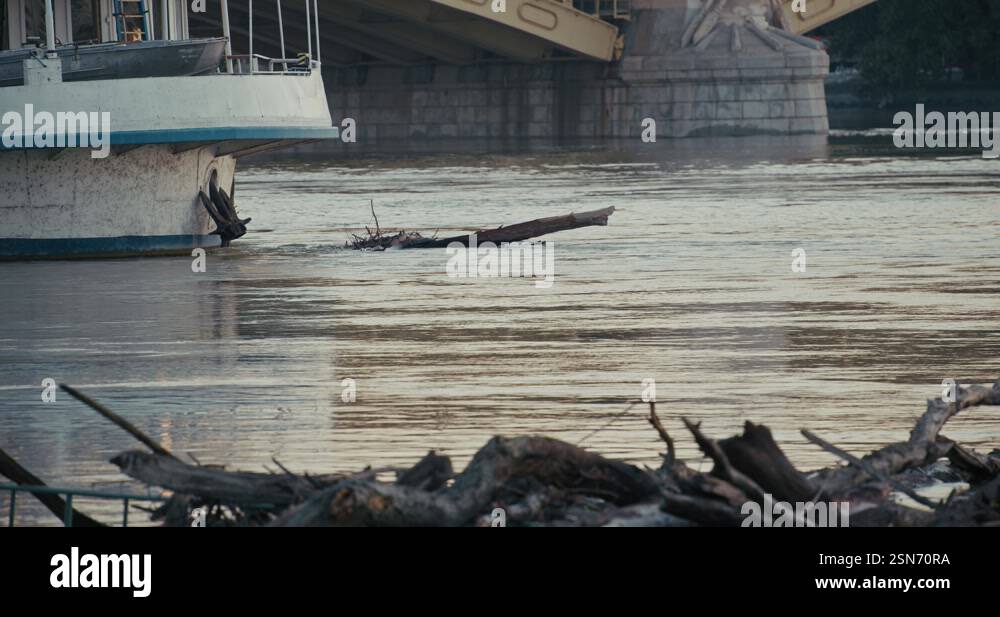 Driftwood and debris float alongside a docked boat during the 2024 ...