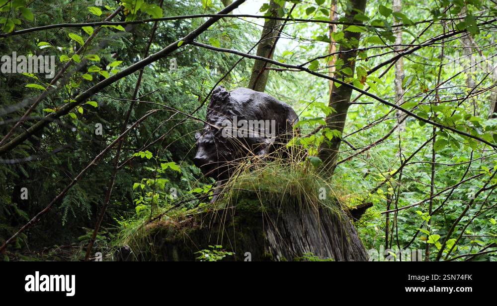 Wood carving of a wolf in Potlatch Totem Park and Museum in Ketchikan ...