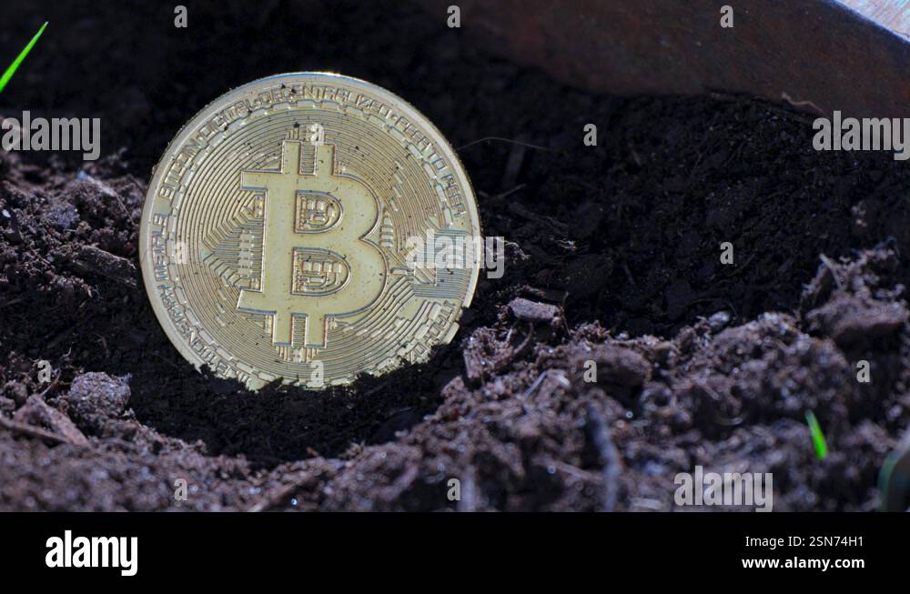 Bitcoin partially buried in soil, symbolizing hidden wealth or crypto ...