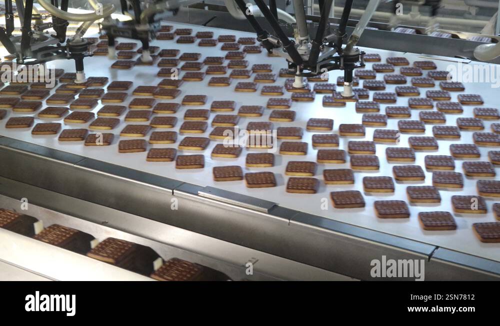 A packaging robot sorts and packages cookies on the conveyor of a ...