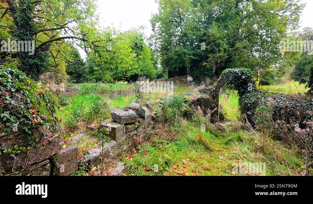 Haunted Ireland ruined abbey in woods site of ghost sitings in the past ...