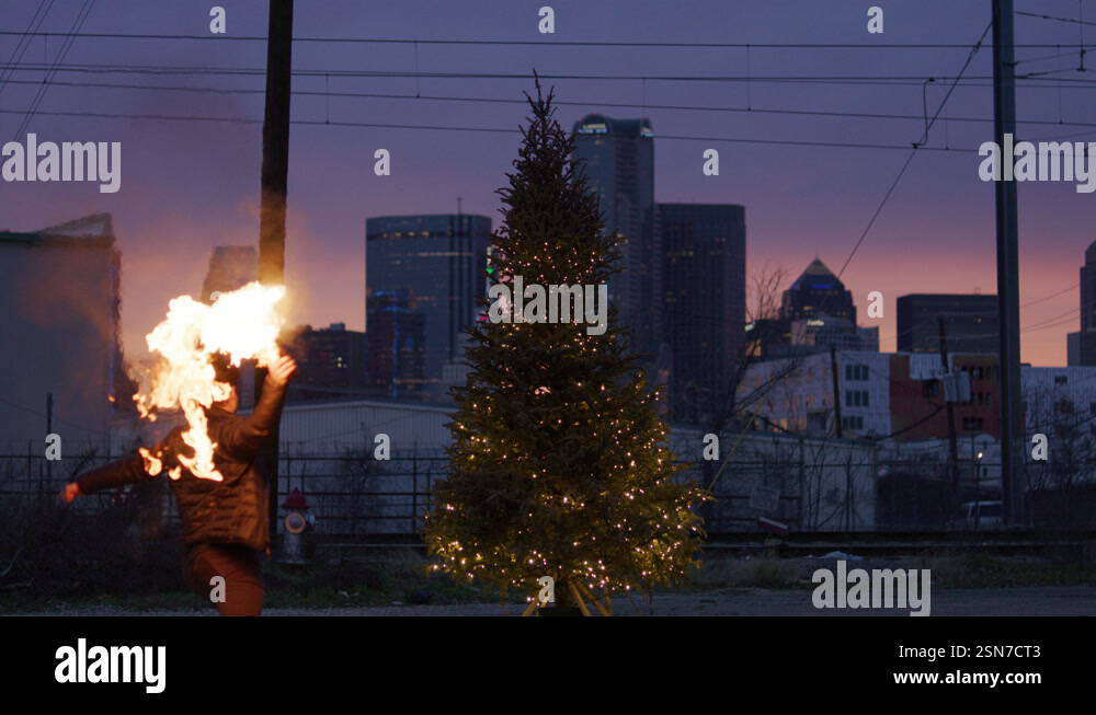 Man in tree setting Stock Videos & Footage - HD and 4K Video Clips - Alamy