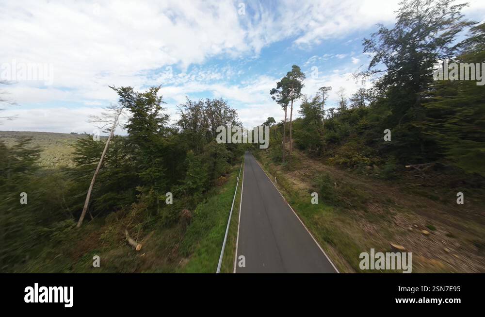 Serpentine Driving Hairpin Road Through the Forest, Ultimate Driver's ...