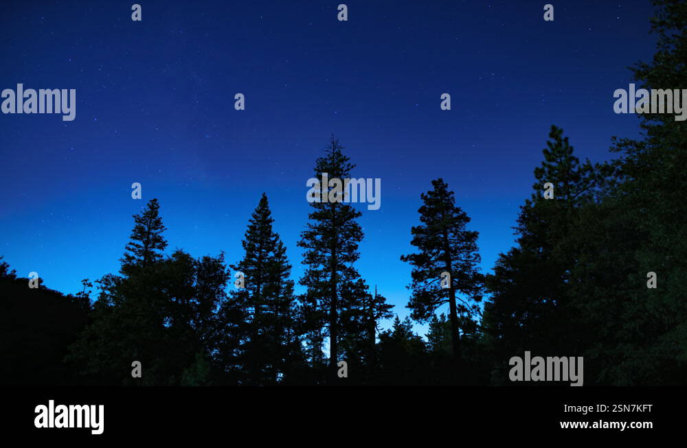 Milky Way Galaxy Under Moonlight Time Lapse in South Sky Pine Forests ...