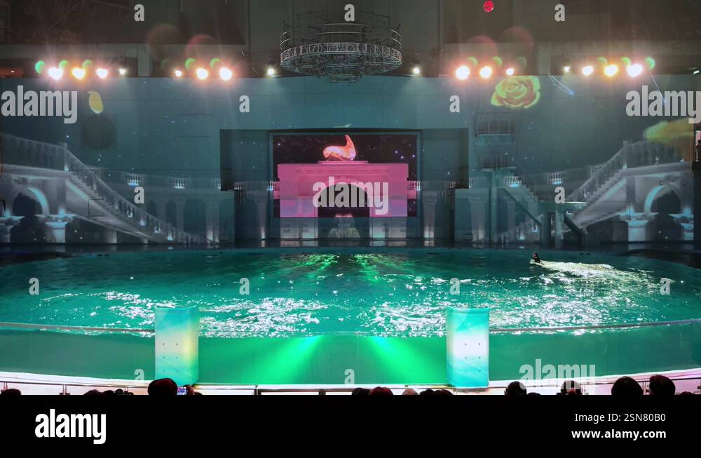 Tokyo arena Stock Videos & Footage - HD and 4K Video Clips - Alamy