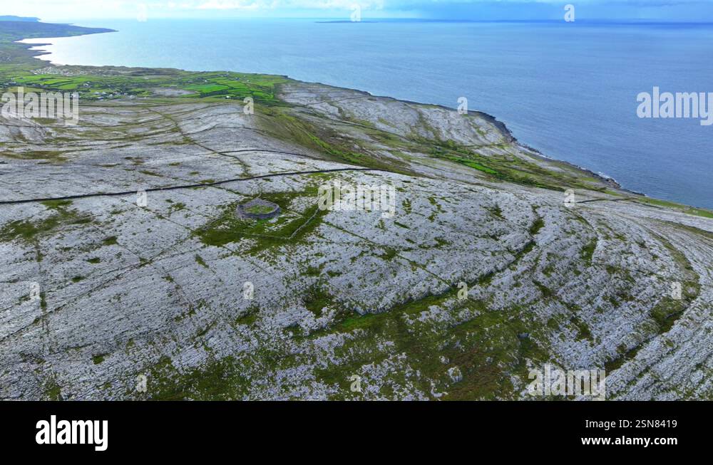 Burren ireland flora Stock Videos & Footage - HD and 4K Video Clips - Alamy