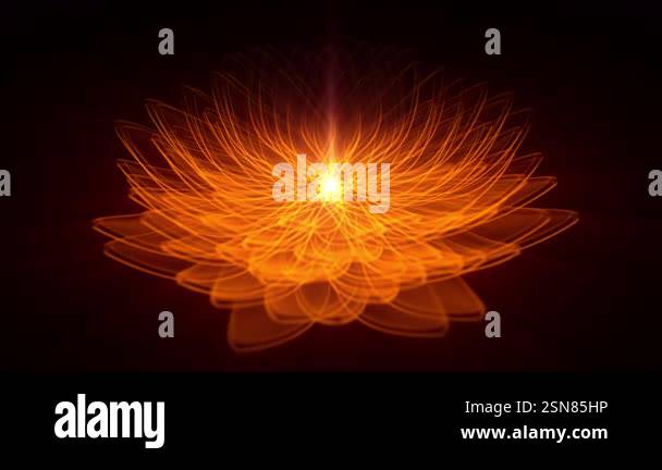 Transparent lotus flower with a lot of fire colored petals slowly ...