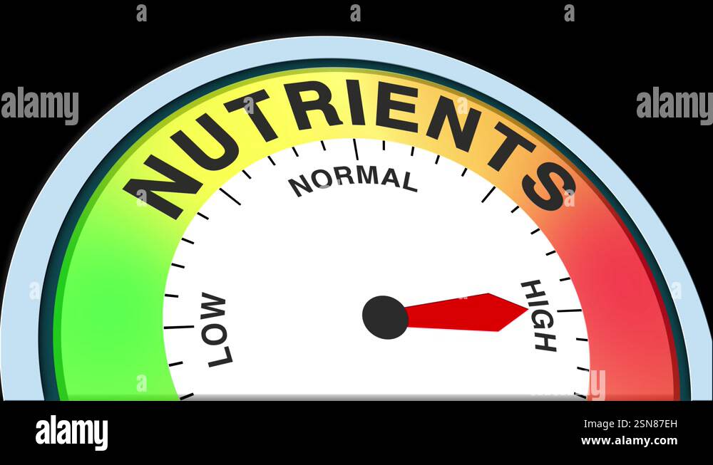 Nutrients Level Text or Word Low and Medium to High Meter Concept ...