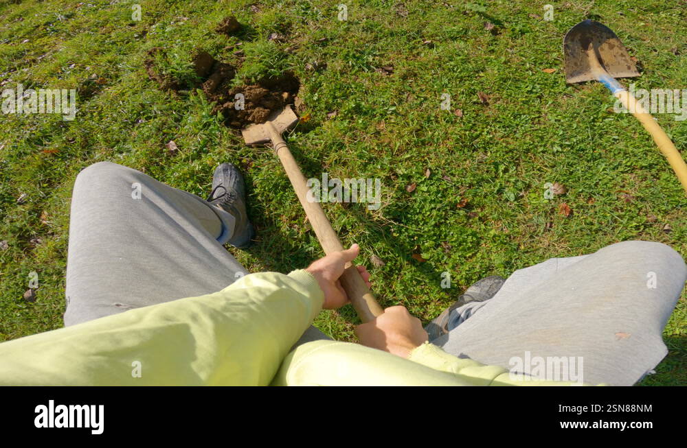 POV: First person view of a man digging up dirt while landscaping a ...