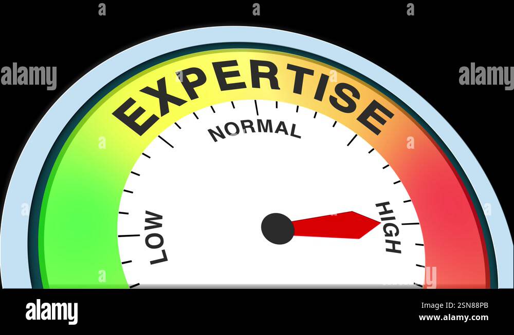Expertise Level Text or Word Low and Normal to High Meter Concept ...