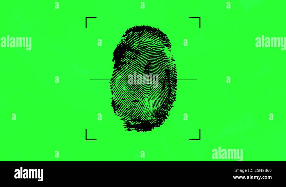 Biometric verification animation process 4k on green screen for keying ...
