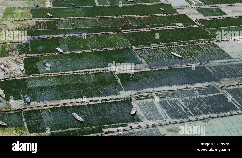 Coastal plots Stock Videos & Footage - HD and 4K Video Clips - Alamy