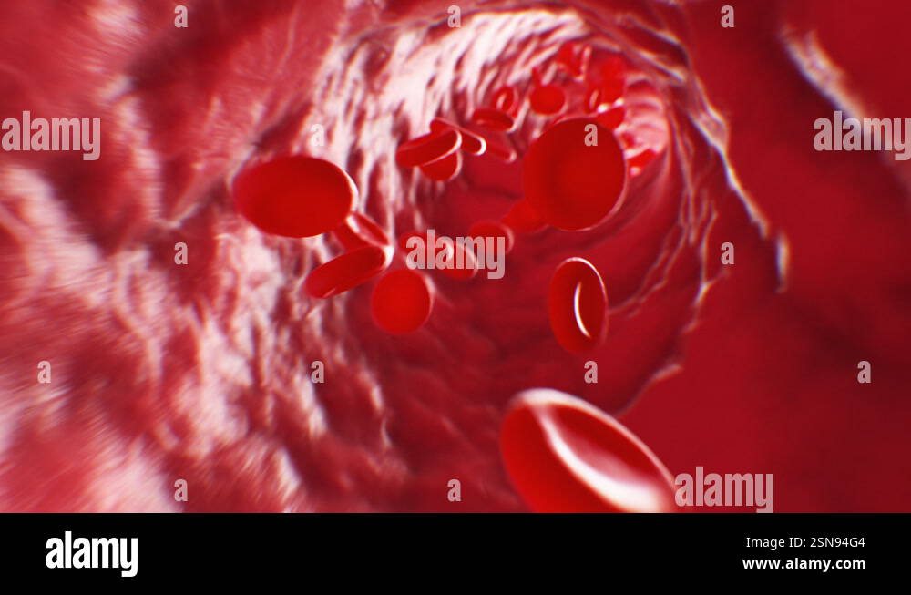 Moving Inside Realistic Blood Vessel with Flowing Blood Cells Seamless ...