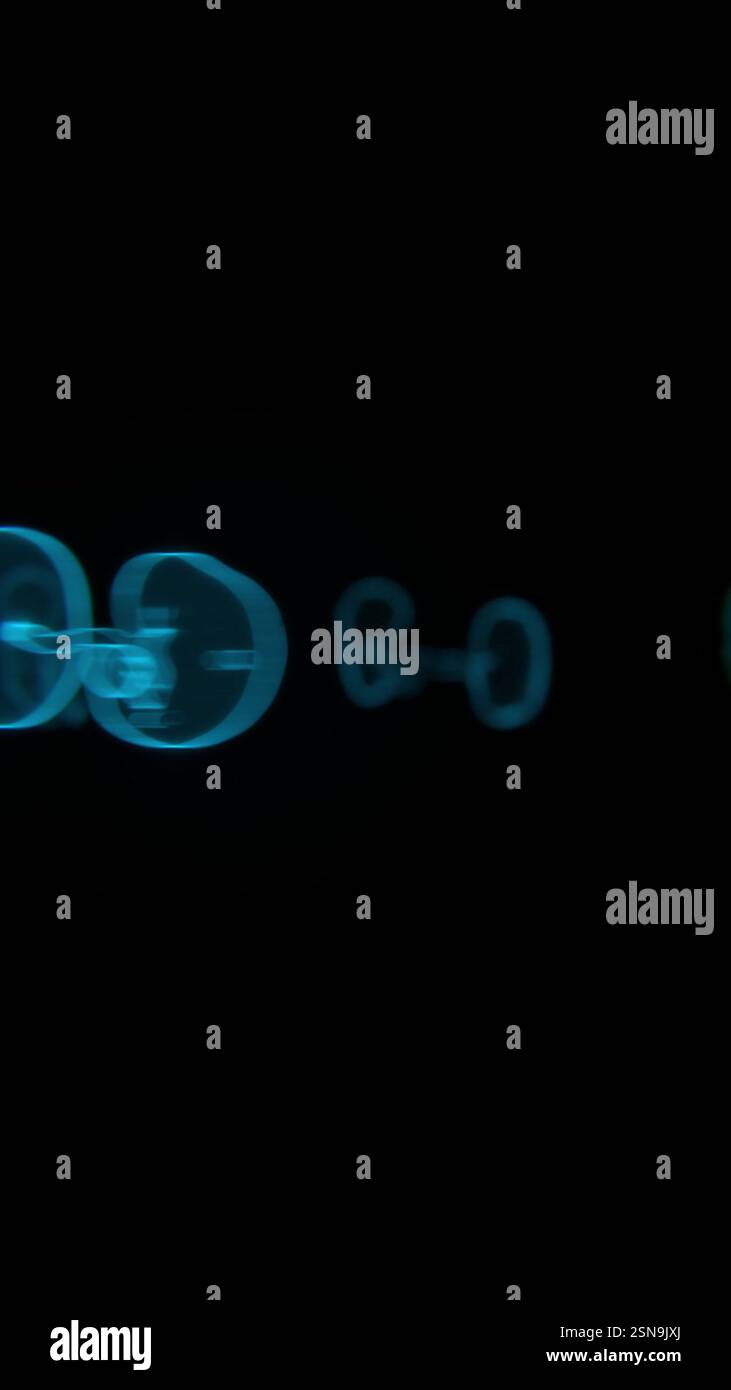 Fetus Development Stages and Embryo development Stages in Xray Video in ...