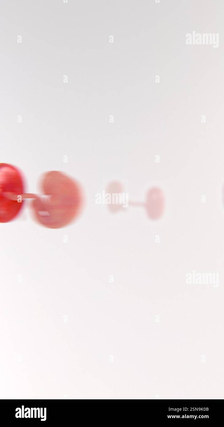 Fetus Development Stages and Embryo development Stages in Realistic ...