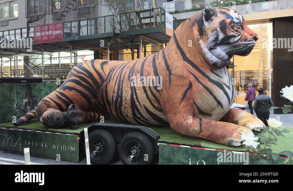 Album advertising Stock Videos & Footage - HD and 4K Video Clips - Alamy