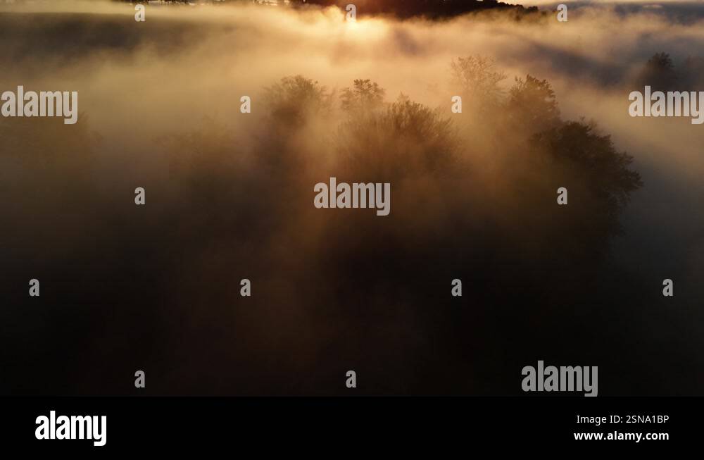 Mist over treetops Stock Videos & Footage - HD and 4K Video Clips - Alamy