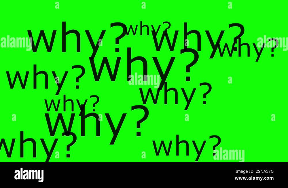 Why? Animated question mark marks kinetic moving text background word ...