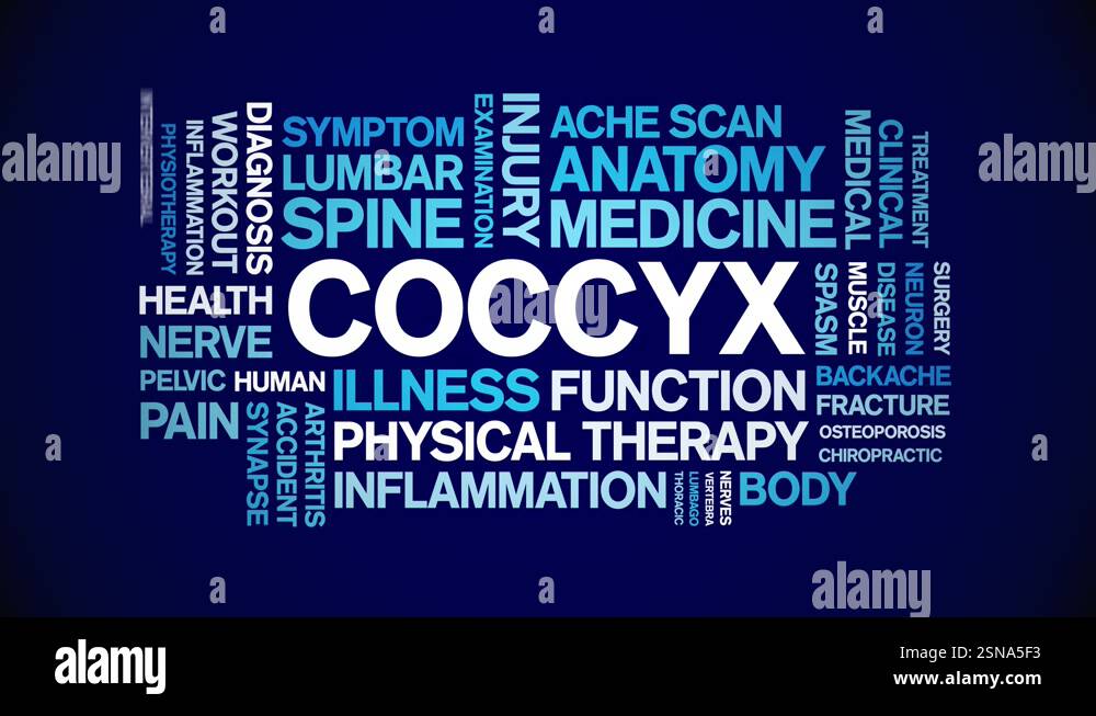 Coccyx animated word cloud,animation tag kinetic typography seamless ...